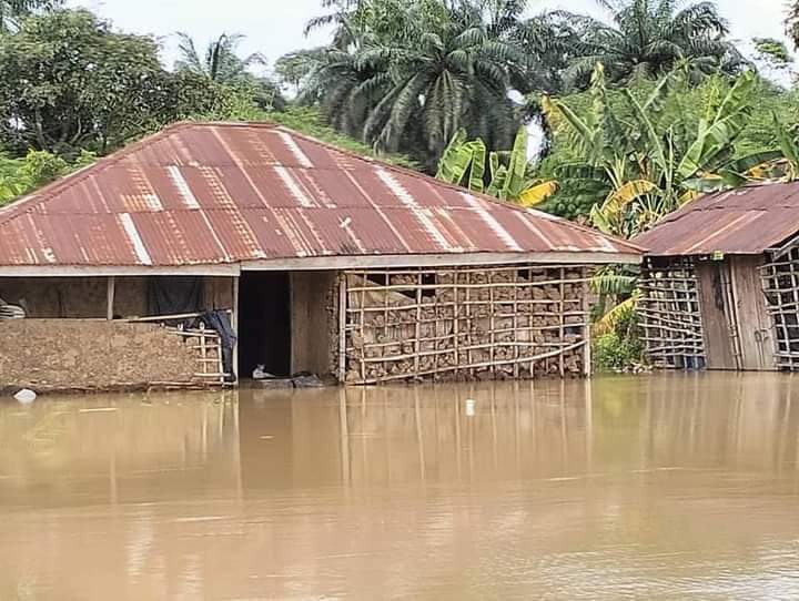 FLOOD UPDATE: NELGA Rejects SEEPCO Cooked Food For IDP Camp ...